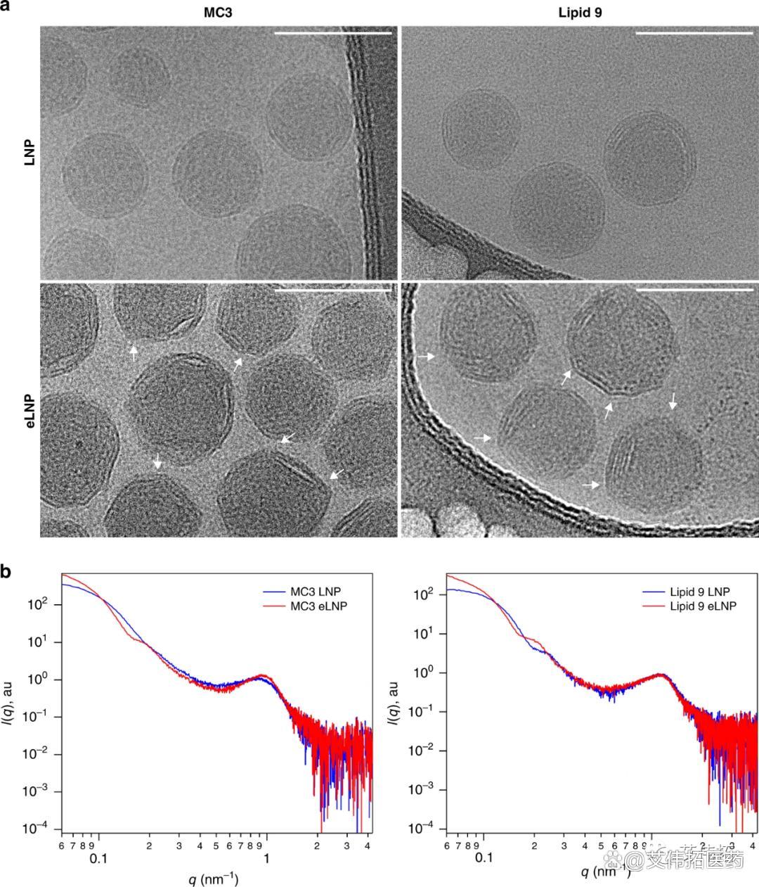 LNP中胆固醇类似物的替换研究 - 知乎