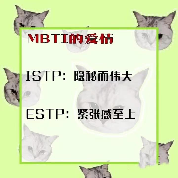 Estp和什么人格最配 知乎
