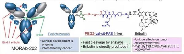 揭秘耐药“魔爪”逃脱秘方：FRα，卵巢癌的新兴治疗靶点 - 知乎