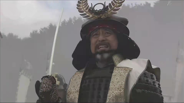 槐聚编31丨忍从 知乎