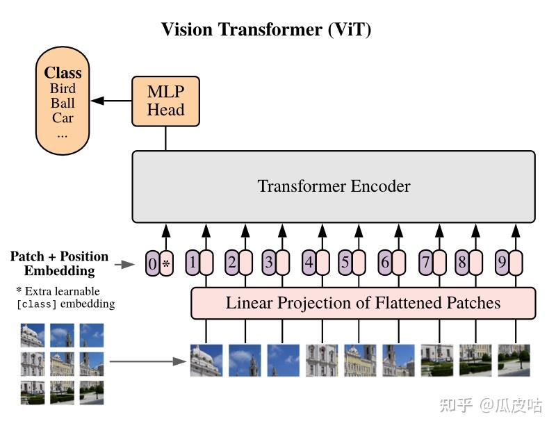 浅谈ViT和SwinT设计理念 - 知乎