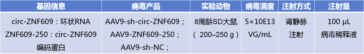 肾脏研究中常用的AAV注射方式有哪几种？ - 知乎