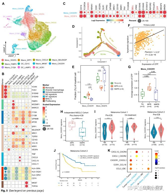 10+单细胞生信文章，探索肿瘤微环境在免疫治疗前后及不同疗效之间的差异，可扩展推广到自己的研究中！ - 知乎