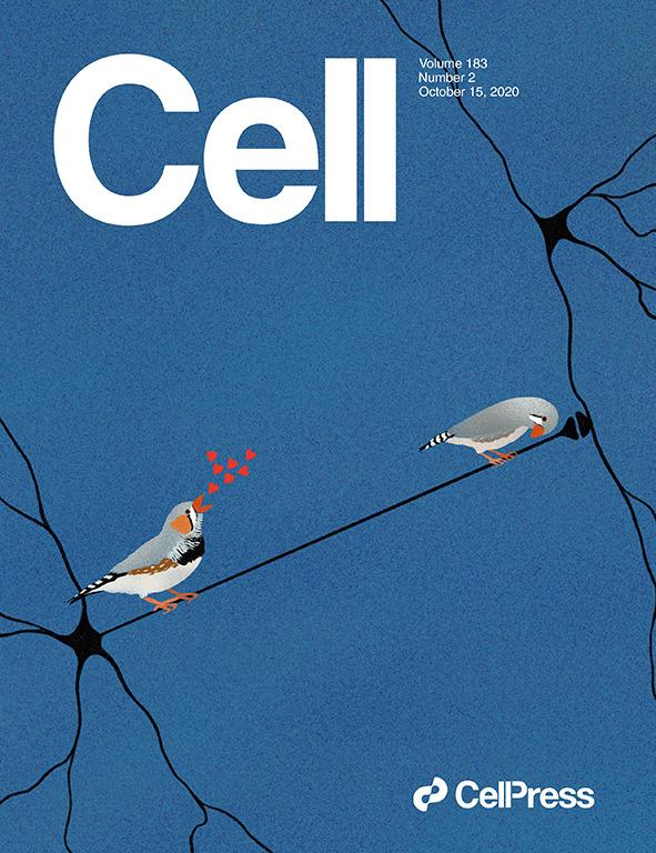 科学与艺术的结合！《CELL》100+张期刊封面鉴赏｜2020年篇 - 知乎