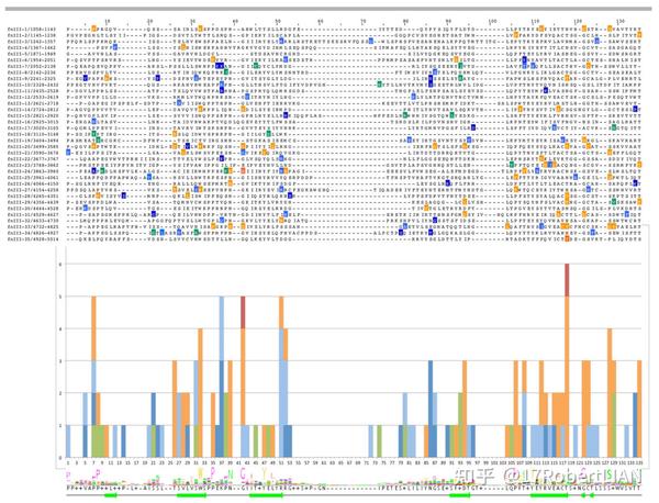 USH2A———二型USHER综合症患者指南 - 知乎