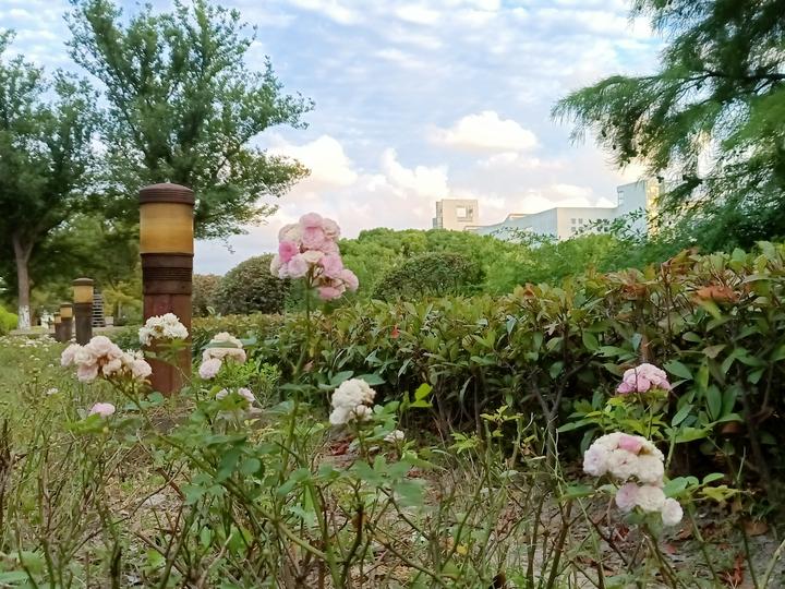 Codeforces Round #824 (Div. 2)A-D - 知乎