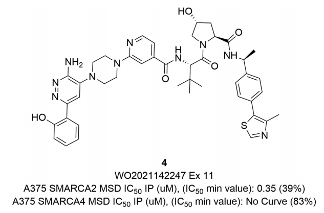 合成致死靶点SMARCA2: PROTAC蛋白降解剂 (专利综述) - 知乎