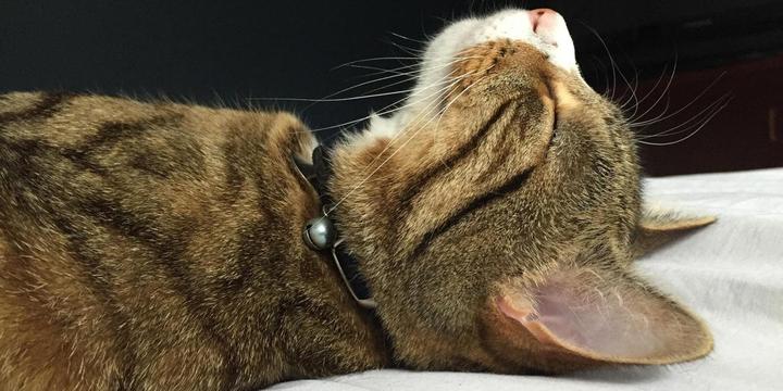 Group, Ring & Field - 知乎