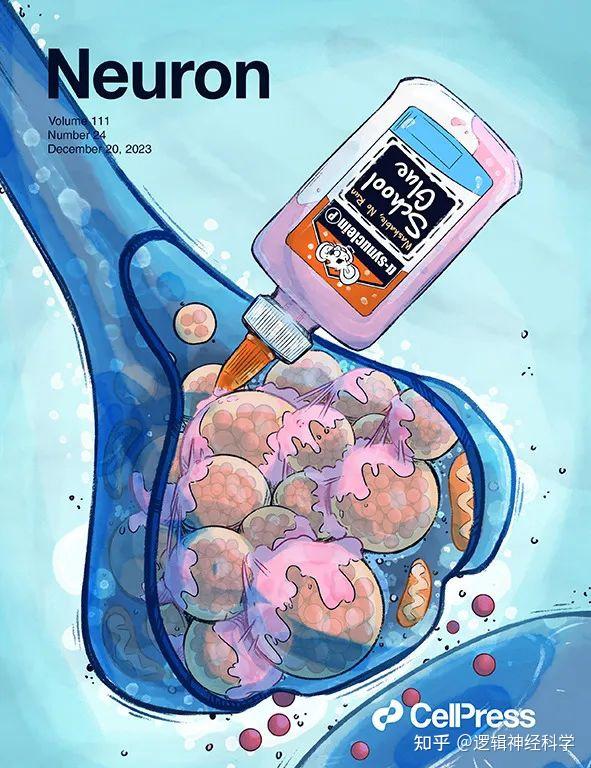 Neuron︱收藏！2023年期刊封面文章汇总 - 知乎