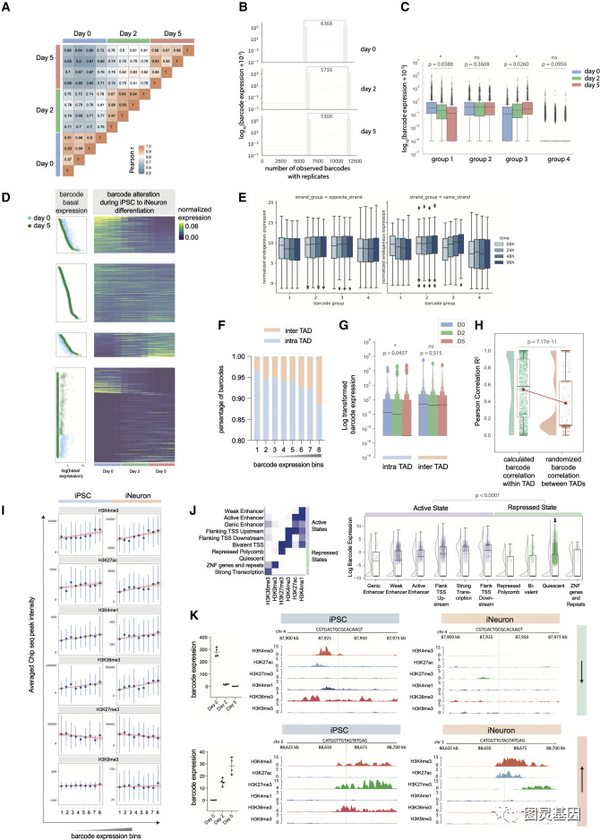 Mol Cell | 大规模测定CRISPR激活规则，引导高效设计 - 知乎