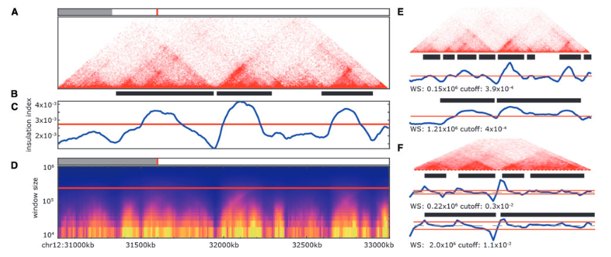 [工具][Hi-C] tadtool 在Hi-C结果中寻找拓扑结构域（TADs） - 知乎