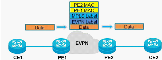 读透，什么是 EVPN ？ - 知乎
