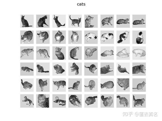 Nilearn：基于Python语言神经成像的机器学习（2） - 知乎