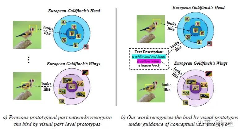 语言引导的可解释图像识别 MM-2024 - 知乎