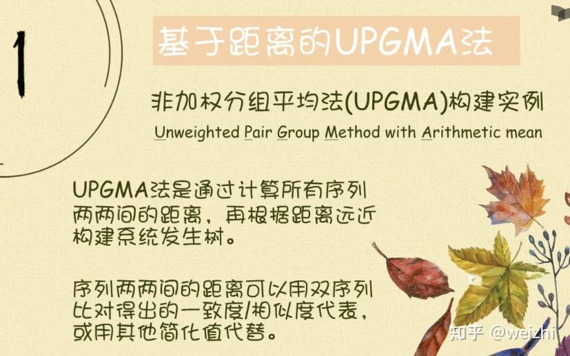 山东大学生物信息学学习笔记6—系统进化树 - 知乎