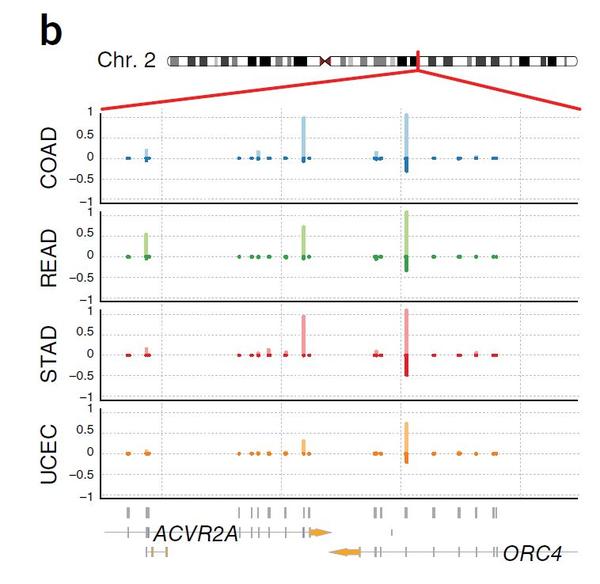 NGS免疫治疗指标分析丨MSI - 知乎