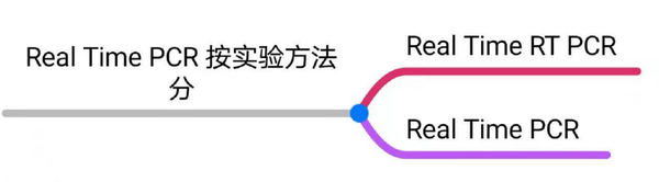 Real Time PCR新手级入门篇-中 - 知乎