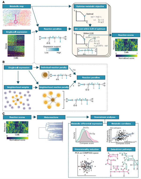Cell在用的单细胞代谢预测工具：Compass - 知乎