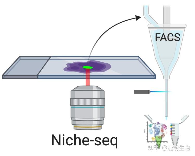 空间转录组技术发展历程大揭秘 - 知乎