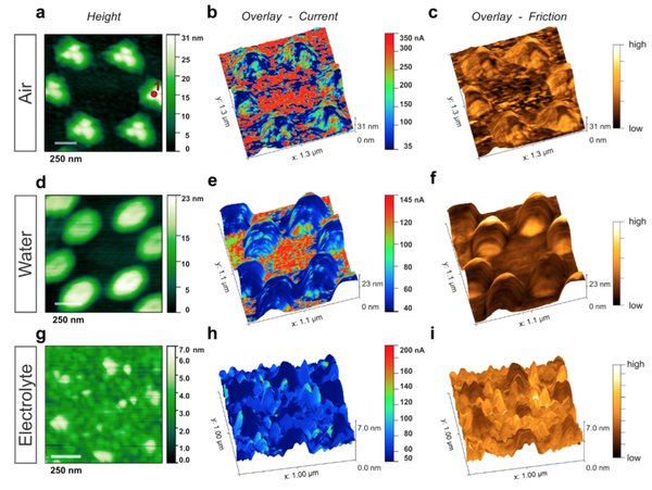 AFM在不同领域的应用 - 知乎