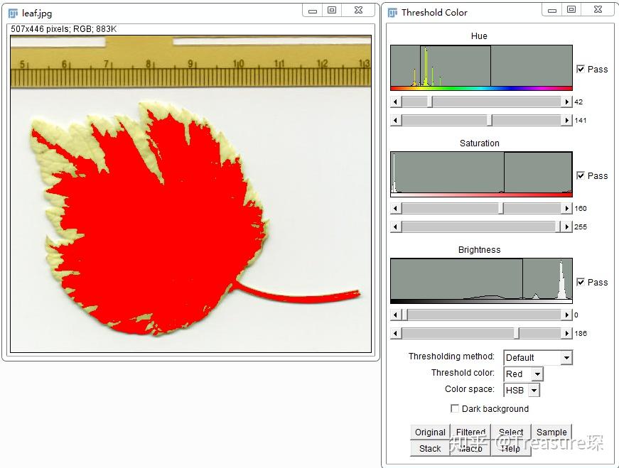 ImageJ实用技巧——面积测量综述 - 知乎