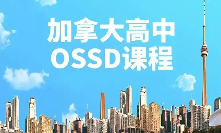 上海ossd课程 学校的费用一般是多少？ - 知乎