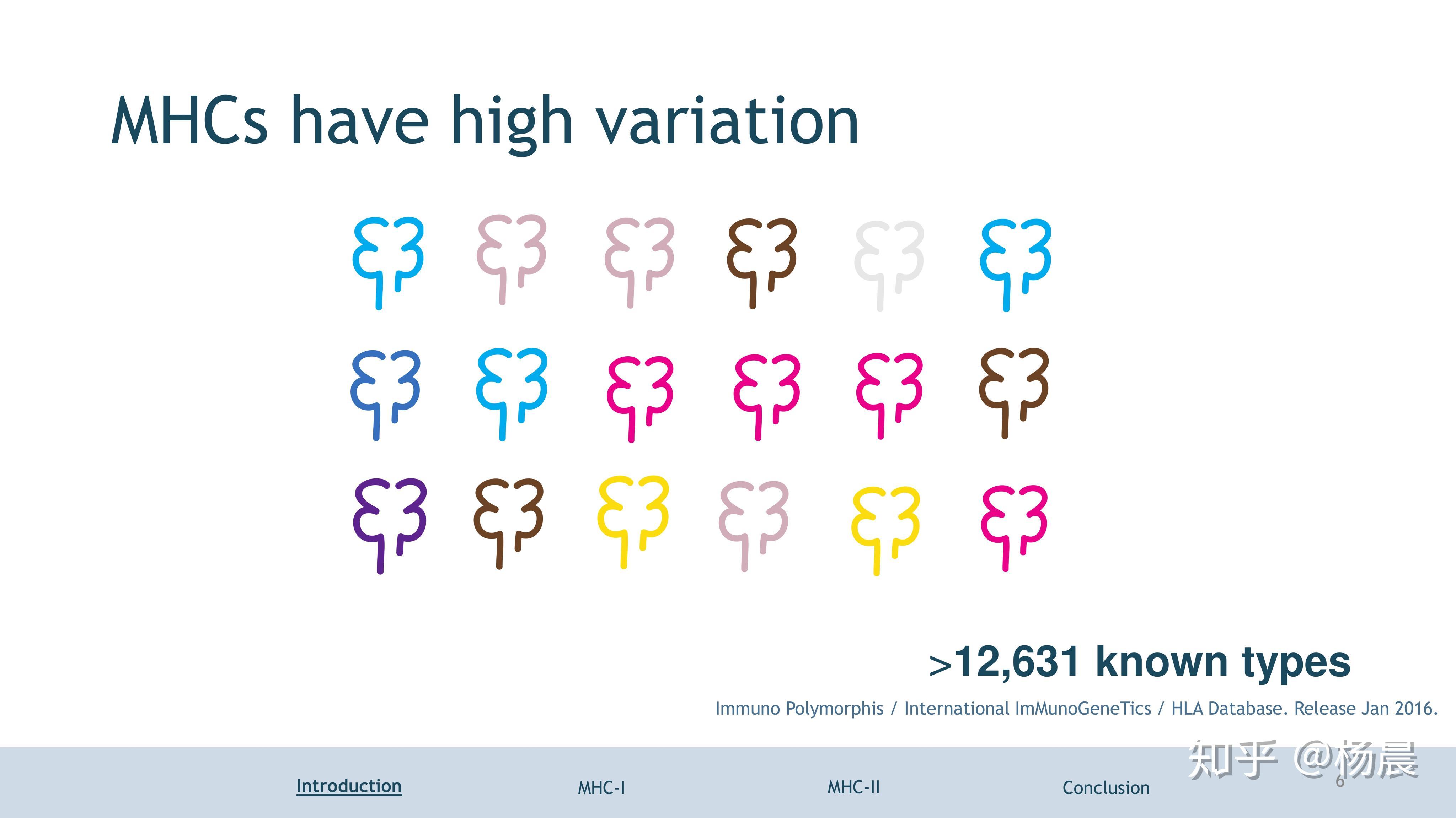 MHC在肿瘤发展过程中的作用 - 知乎
