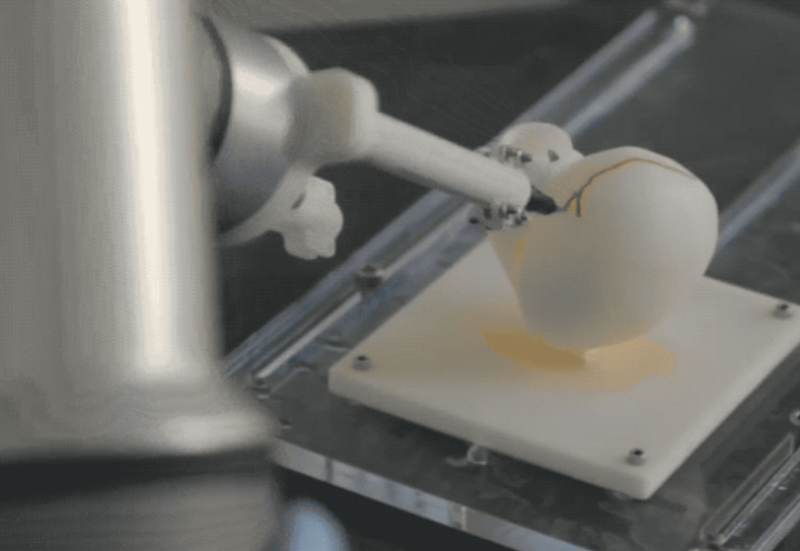 3D 打印“心脏”体外存活超 6 个月：心肌组织带有规律性搏动，来自中科院和清华 - 知乎