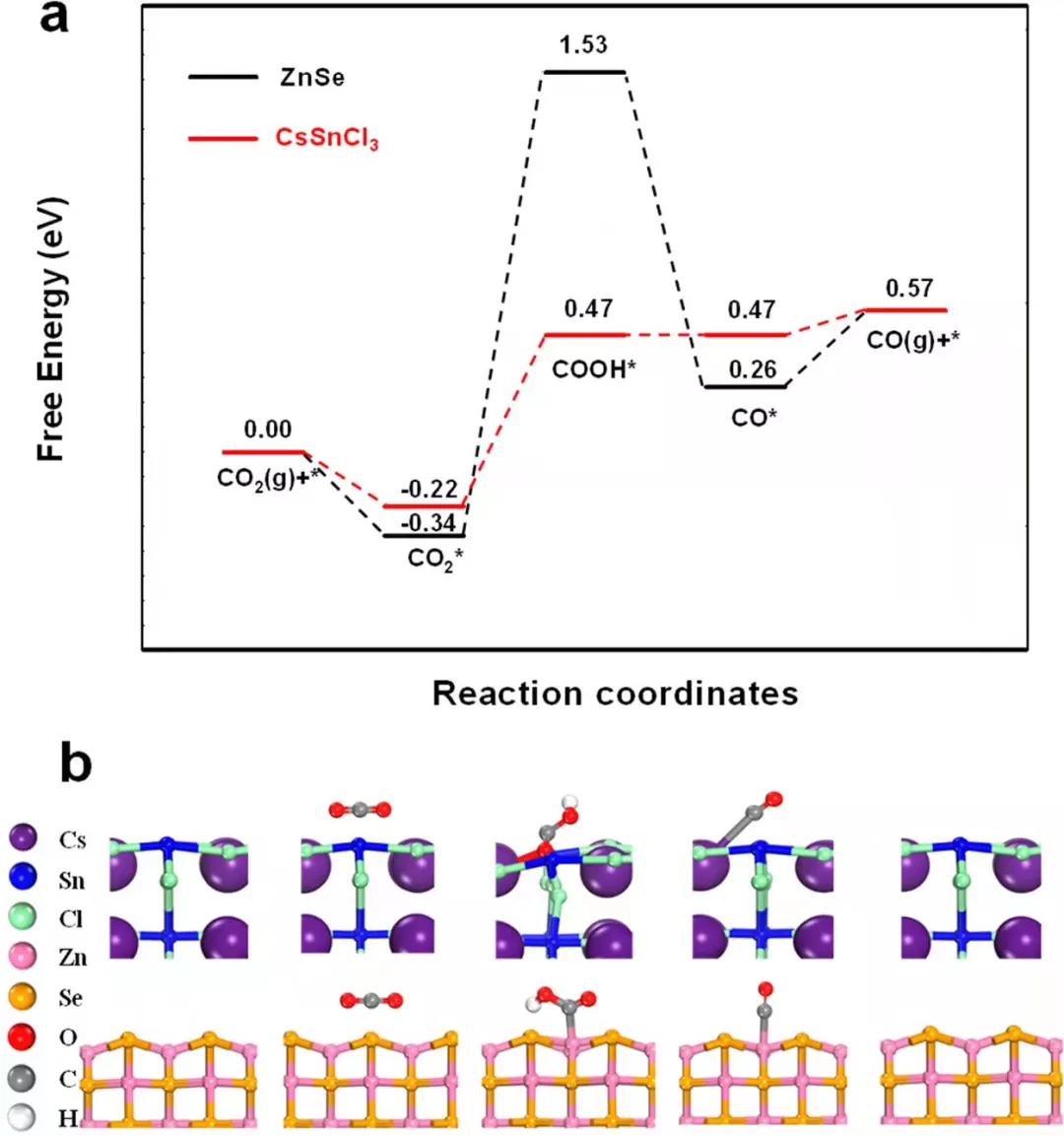 ZnSe纳米棒-CsSnCl3钙钛矿异质结复合物用于光催化CO2还原 - 知乎