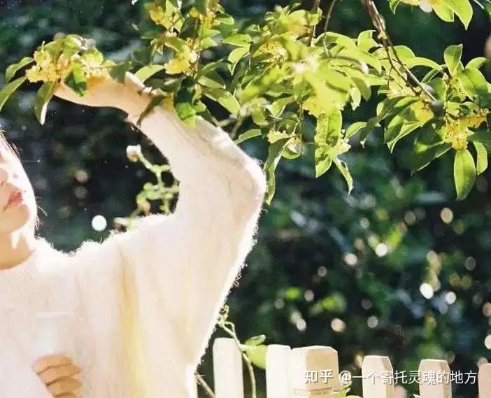 对你爱一个人,不要吝啬你的好 知乎