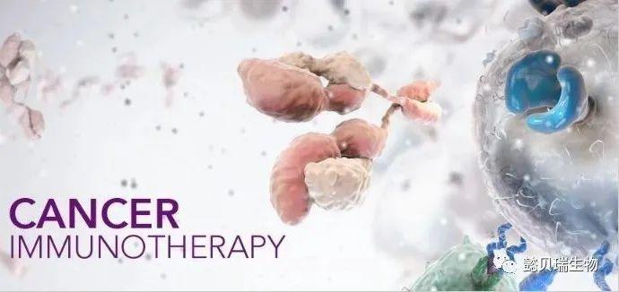 上海懿贝瑞分享：靶向肿瘤抗原的TILs疗法深度解析（三） - 知乎