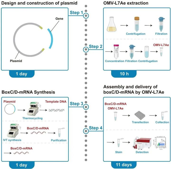 Bio-protocol | 2023年7月5日最新上线实验方案目录 - 知乎