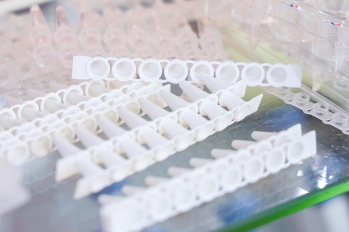 干货分享 | qRT-PCR实验全流程（上） - 知乎