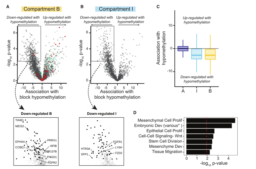 30+张图片！带你走进三维基因组（附一篇Cell经典案例精读） - 知乎
