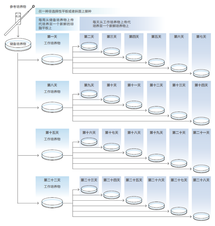 质控菌株及标准化流程 - 知乎