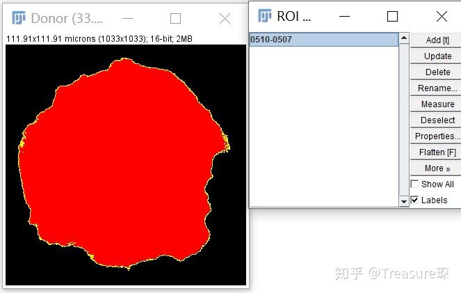 ImageJ实用教程——荧光比率图（基础功能篇） - 知乎