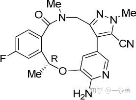 劳拉替尼（Lorbrena，Lorlatinib，Lorviqua）FDA官方说明书 - 知乎