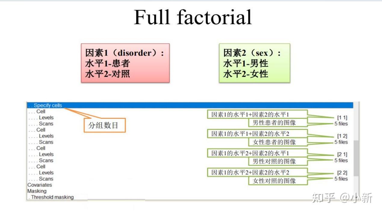 13-SPM-fmri任务态 二阶分析：多因素方差分析 - 知乎