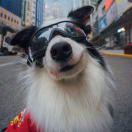 国产化如何安装OpenJDK的 Icedtea插件？ - 知乎