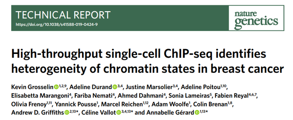 Nature genetics | 高通量单细胞ChIP-seq识别乳腺癌染色质状态的异质性 - 知乎