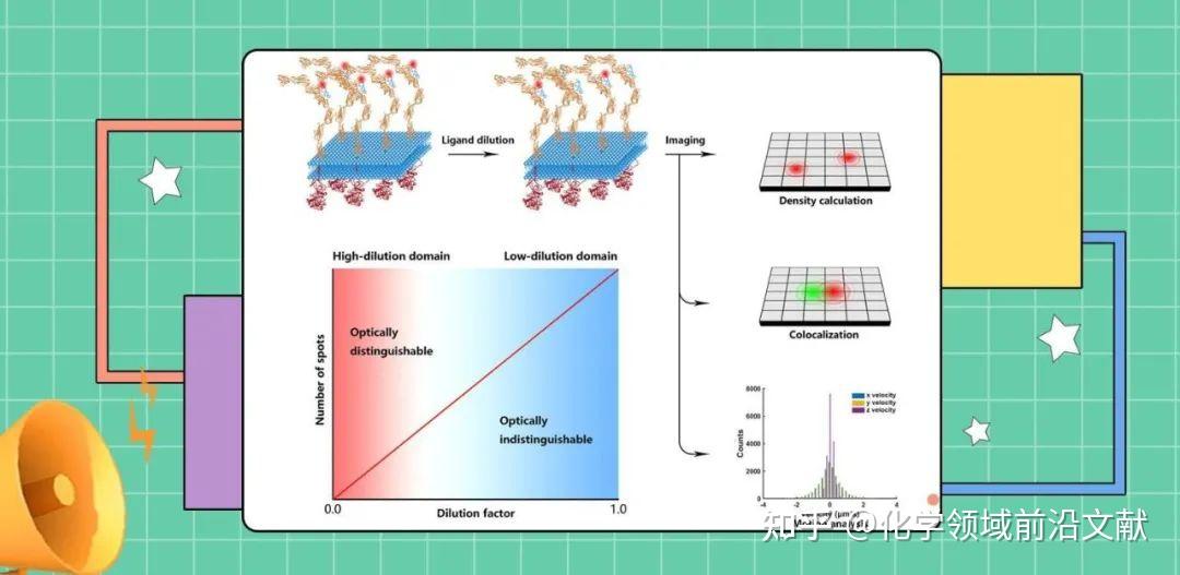 湖南大学谭蔚泓院士/吕一帆副教授Angew. Chem.：基于单分子定位和随机取样的配体稀释技术用于细胞膜受体分析 - 知乎