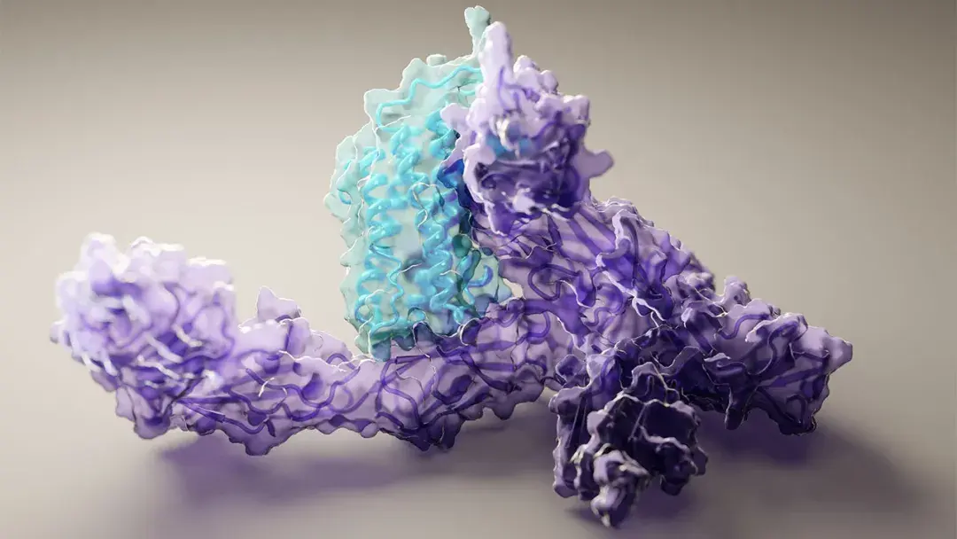 一天之内，两大ai预测蛋白结构算法开源，分别登上nature、science 知乎