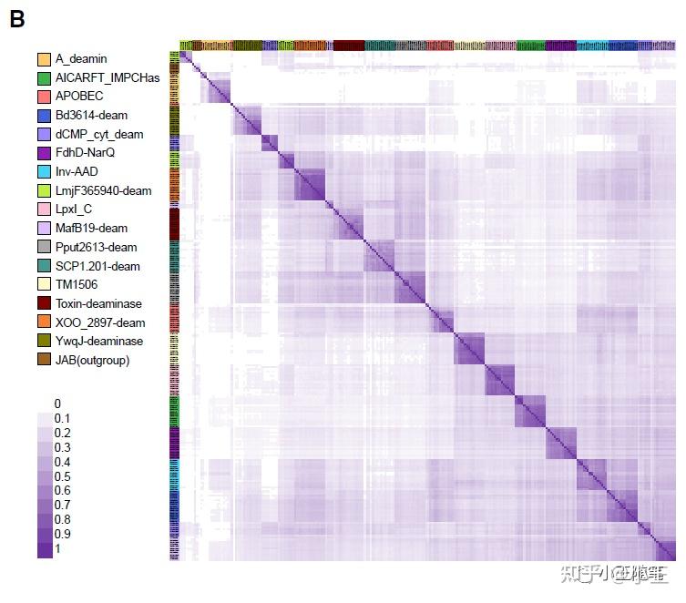短评高彩霞Cell：AlphaFold2挖掘酶，简单而成功的计算辅助 - 知乎