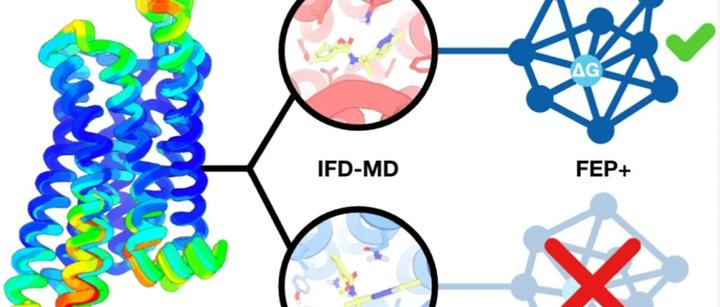 基于结构的 GPCR 药物设计中 IFD-MD 方法和 FEP+计算的联合应用 - 知乎