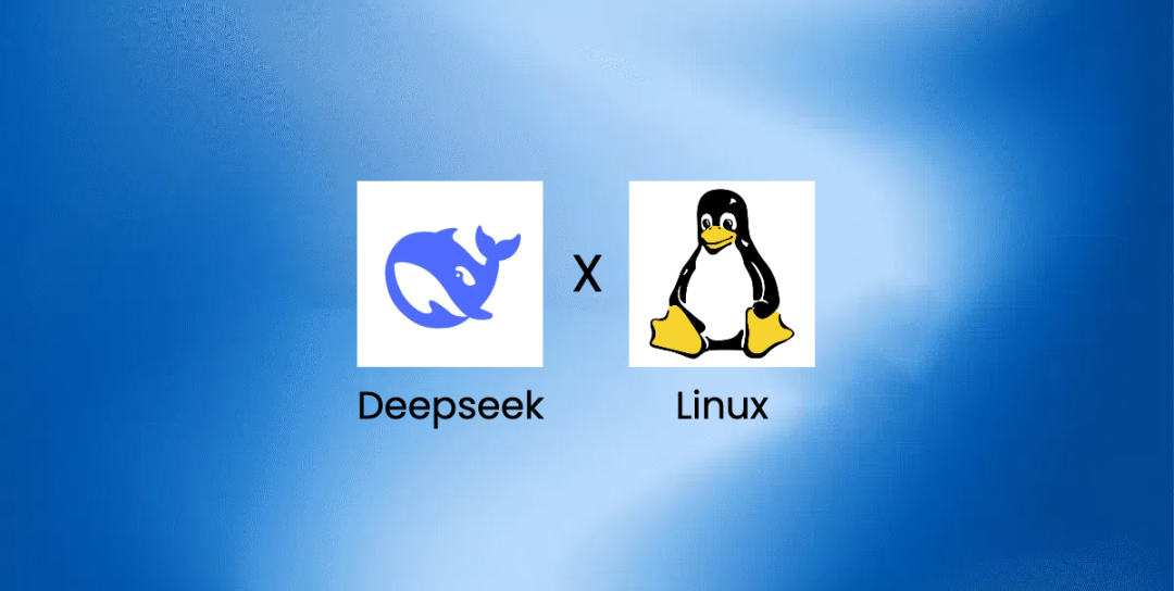 Linux 本地部署 Deepseek-R1 大模型！附保姆级教程，真正的国际顶流！ - 知乎