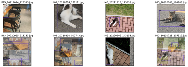 MMDetection实战--基于RTMDet在Cats和10类饮料数据集上的目标检测与MMYoLo Grad-Based CAM可视化 - 知乎