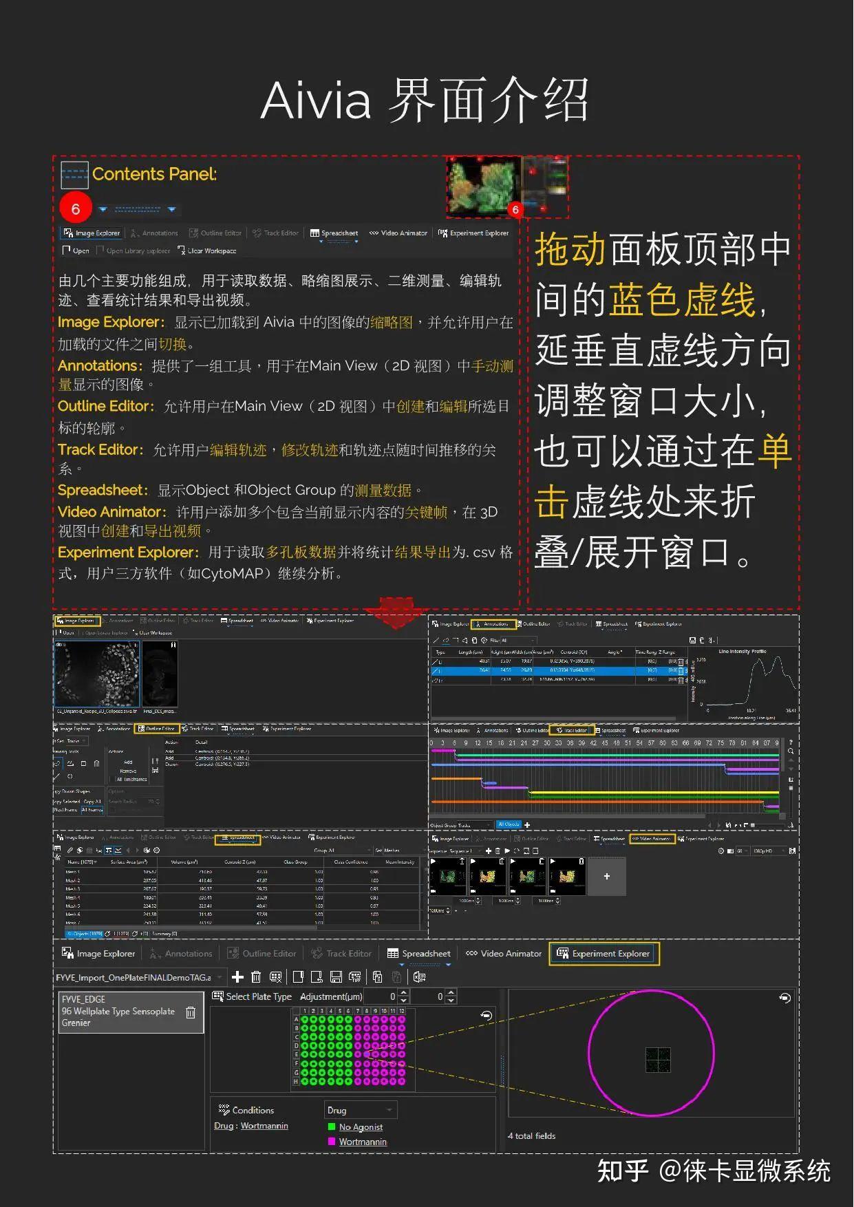 掌握Aivia！快速入门使用指南 - 知乎