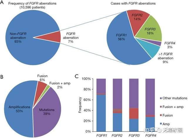 国内首款FGFR抑制剂国内获批，多款靶向药横扫胆管癌、肝癌、胃癌等16大癌种！ - 知乎