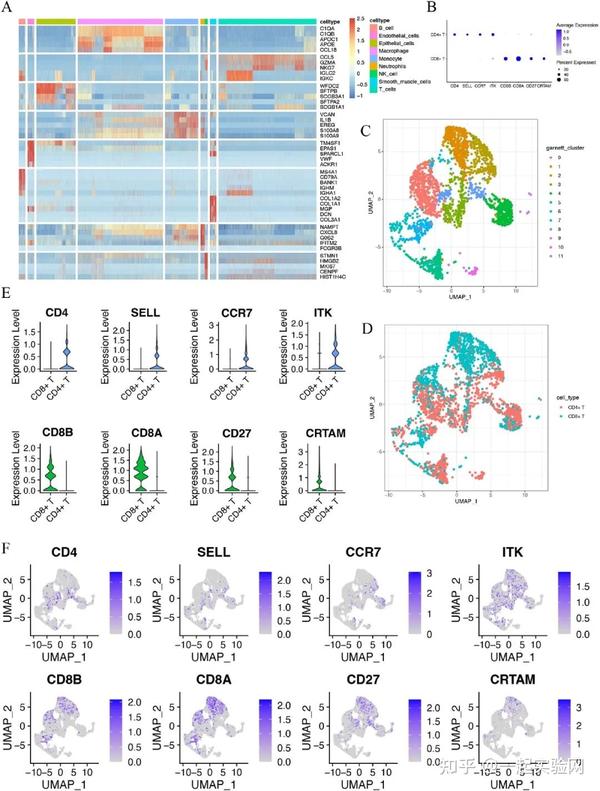 6+：单细胞测序+转录组测序+免疫细胞联合分析新思路 - 知乎