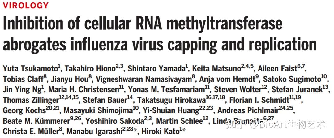 Science |“盖帽”阻止流感病毒复制 - 知乎